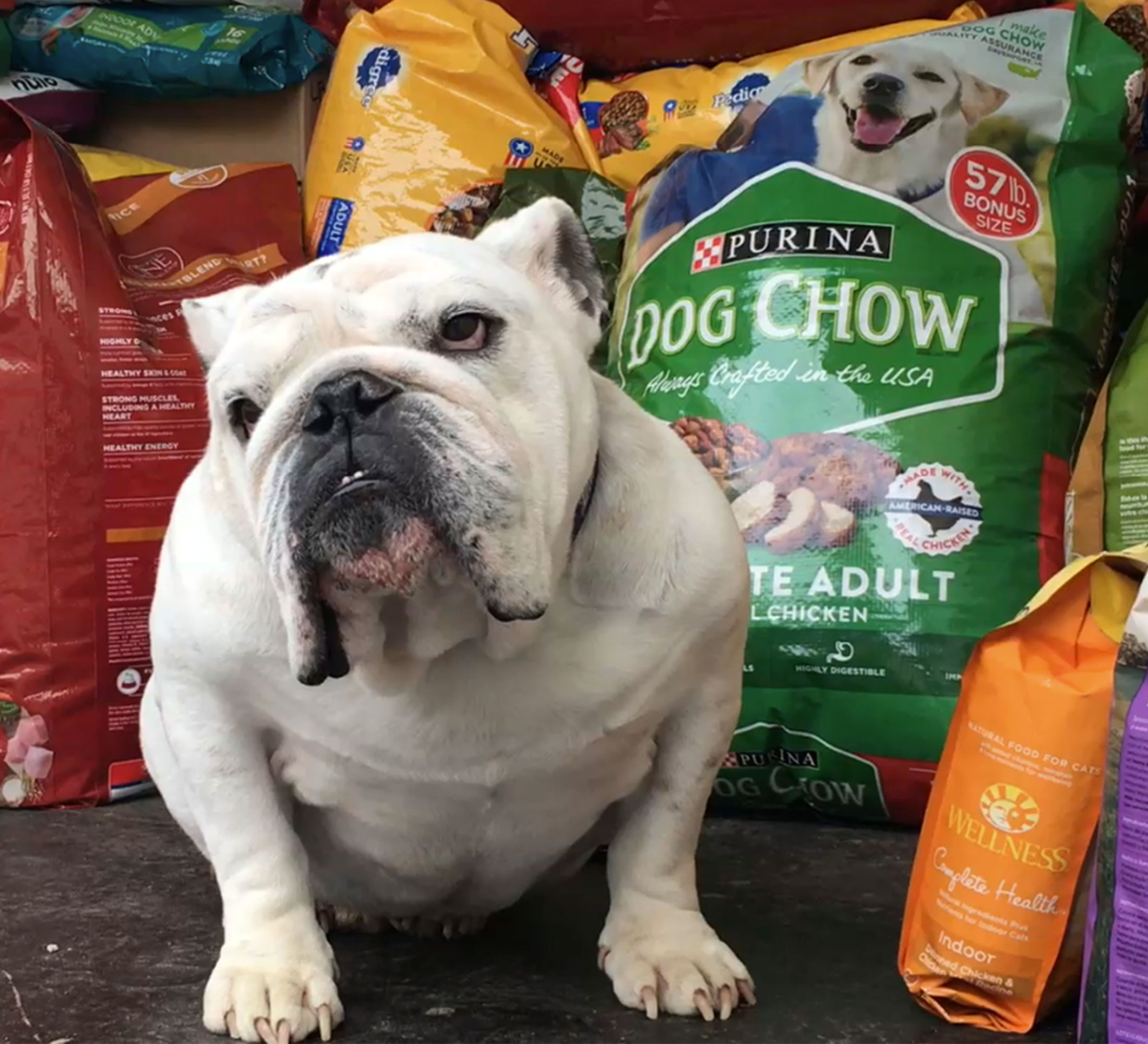 Griff Gives Back Campaign - Drake University